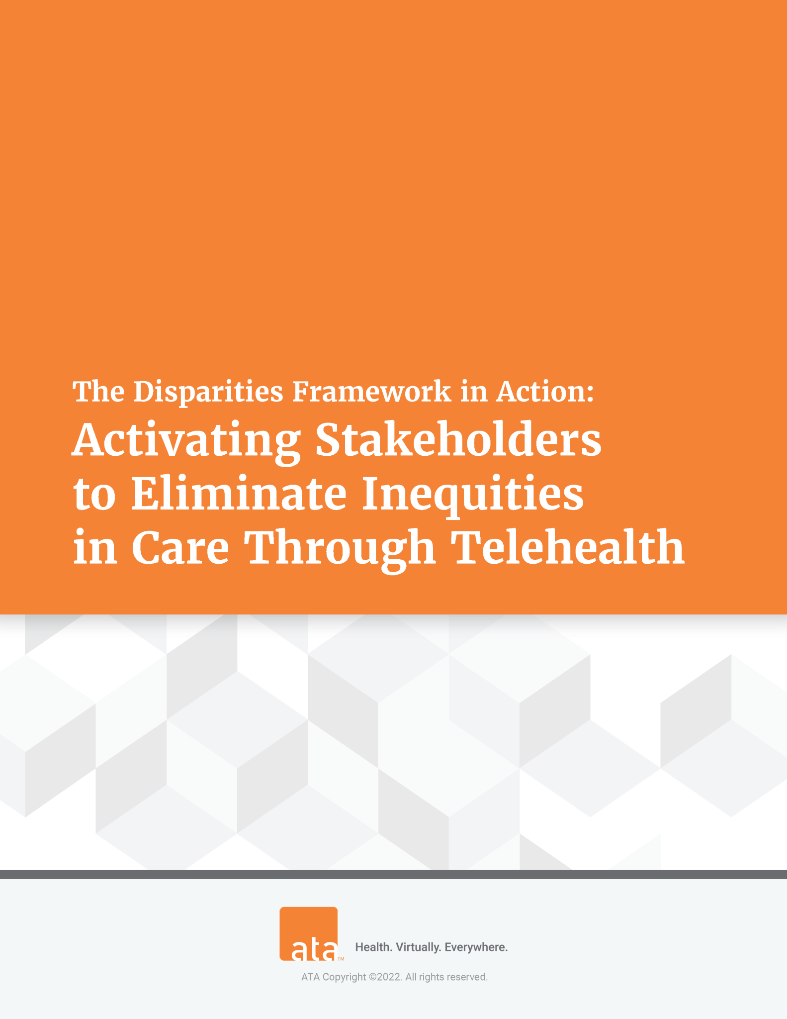The Disparities Framework in Action: Activating Stakeholders to ...